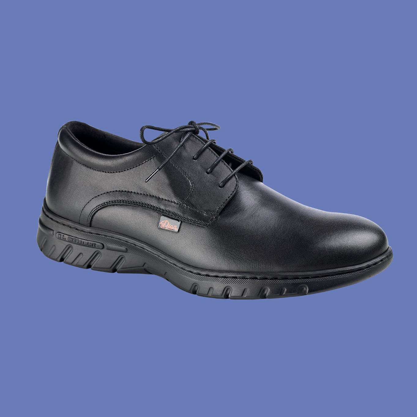 Calzado para uso industrial - BERNA - Division Anatomicos S.L ...