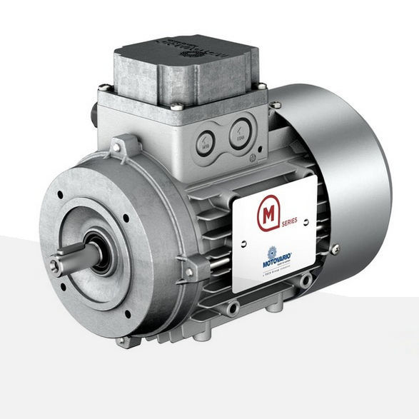 Motor freno trifásico - D/DB - MOTOVARIO - asíncrono / IP55 / ATEX