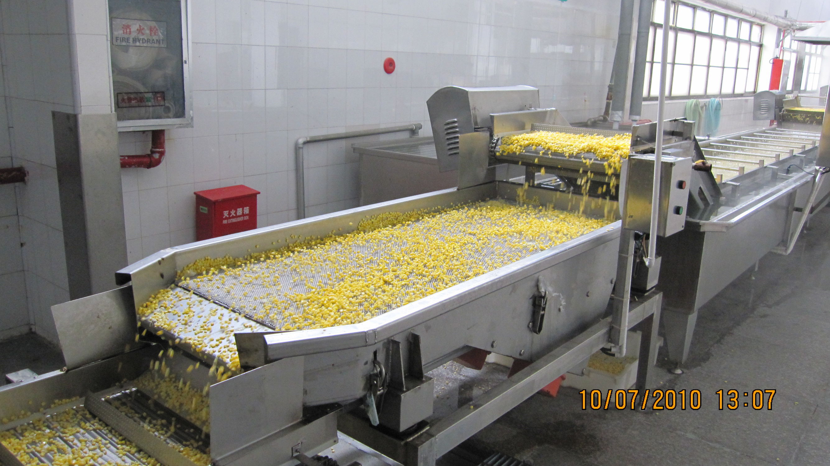 Secadora vibratoria - ZTS - SHAOXING WALLEY FOOD MACHINERY CO., LTD ...