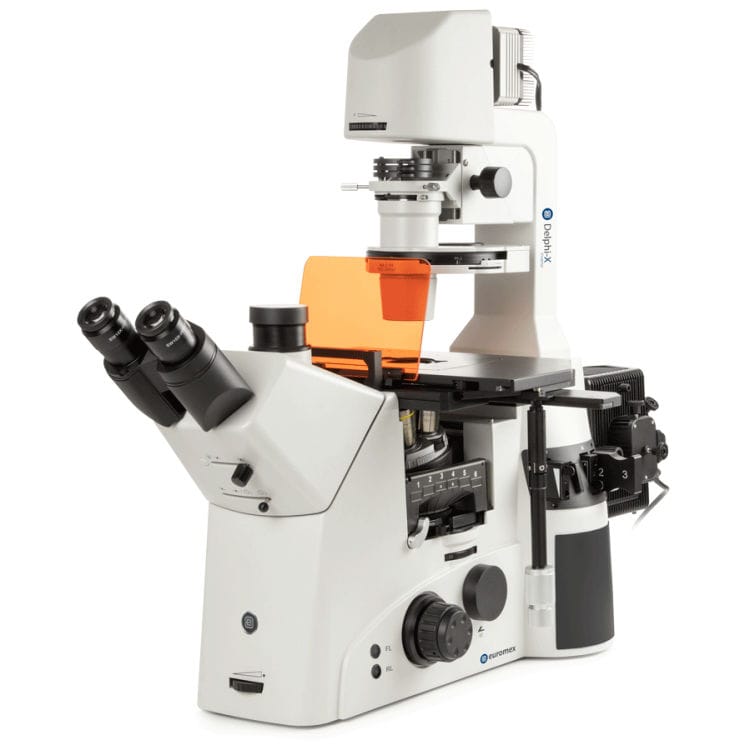Microscopio óptico - Delphi-X Inverso series - Euromex - industrial ...