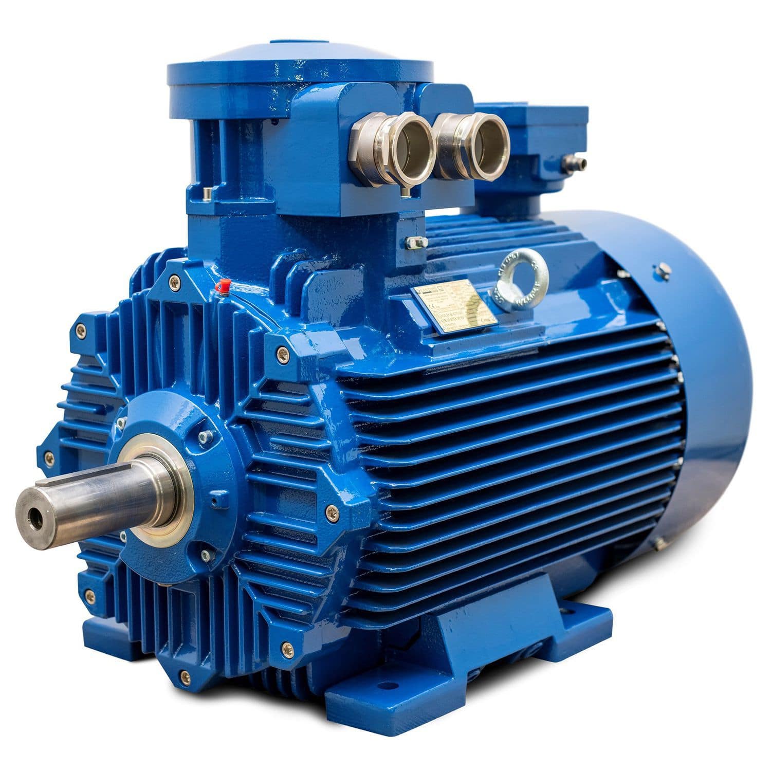 Motor ATEX - (E)cSTe(b)315 series - Cantoni Motor - de inducción ...