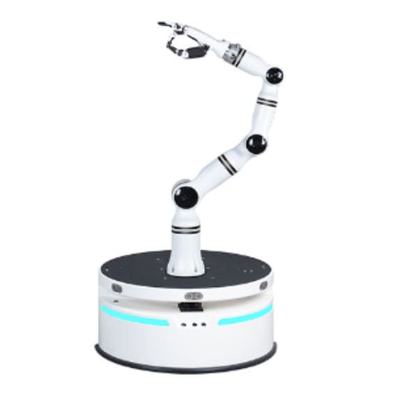 Robot de pórtico - RealMan Intelligent Technology - articulado / 7 ejes ...