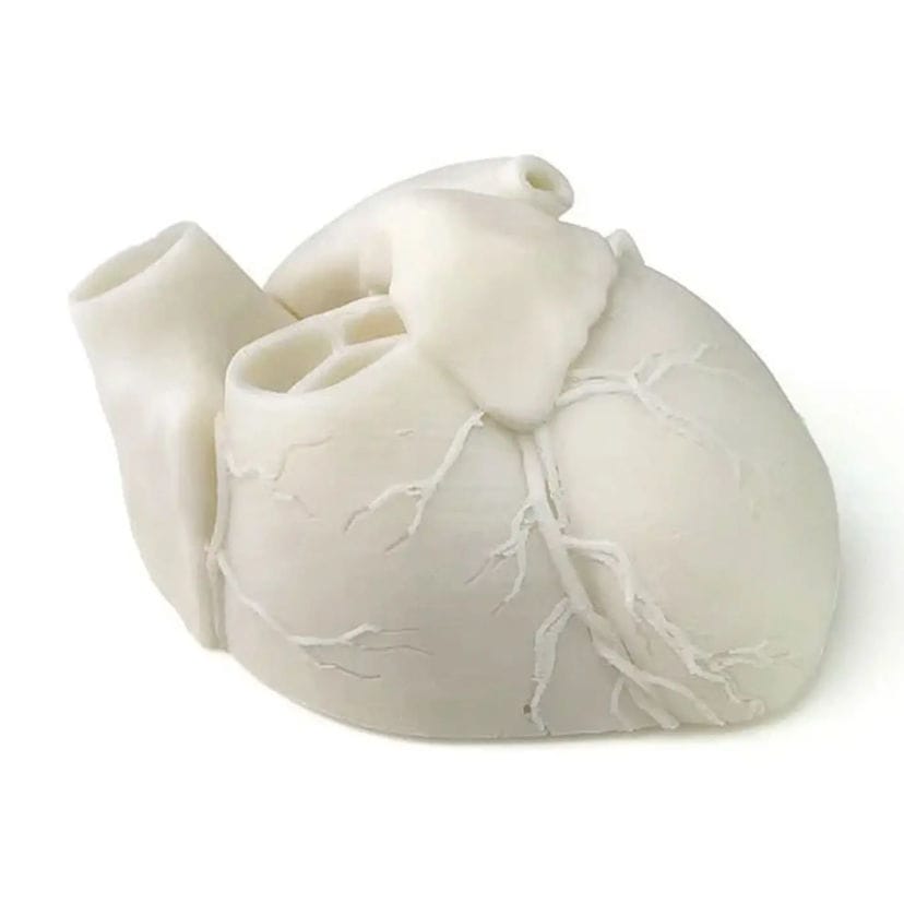 Impresión 3D ABS - Weerg - FDM / médica