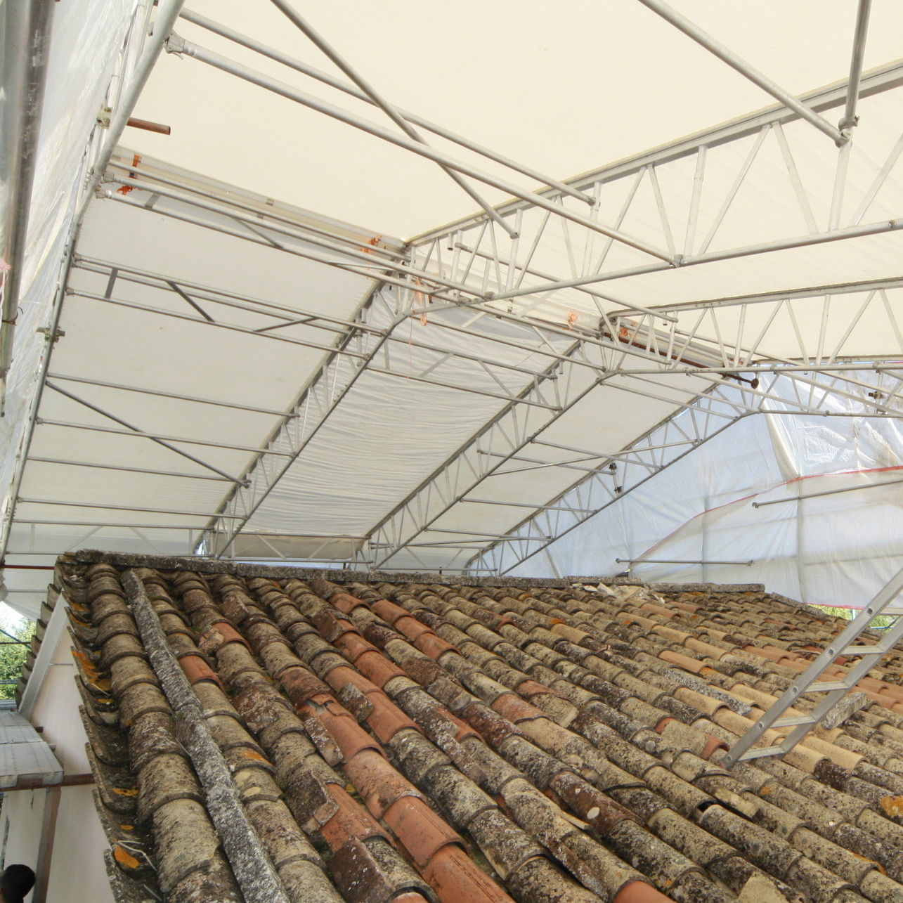 Techumbre temporal temporal - PILOSIO