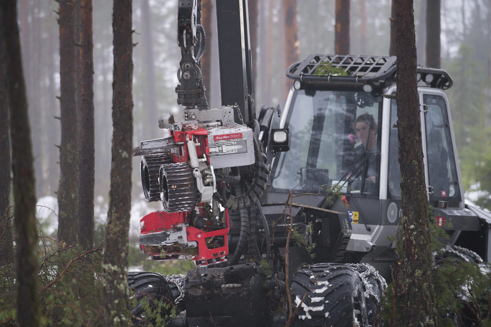Cabeza procesadora - 2000T - Log Max