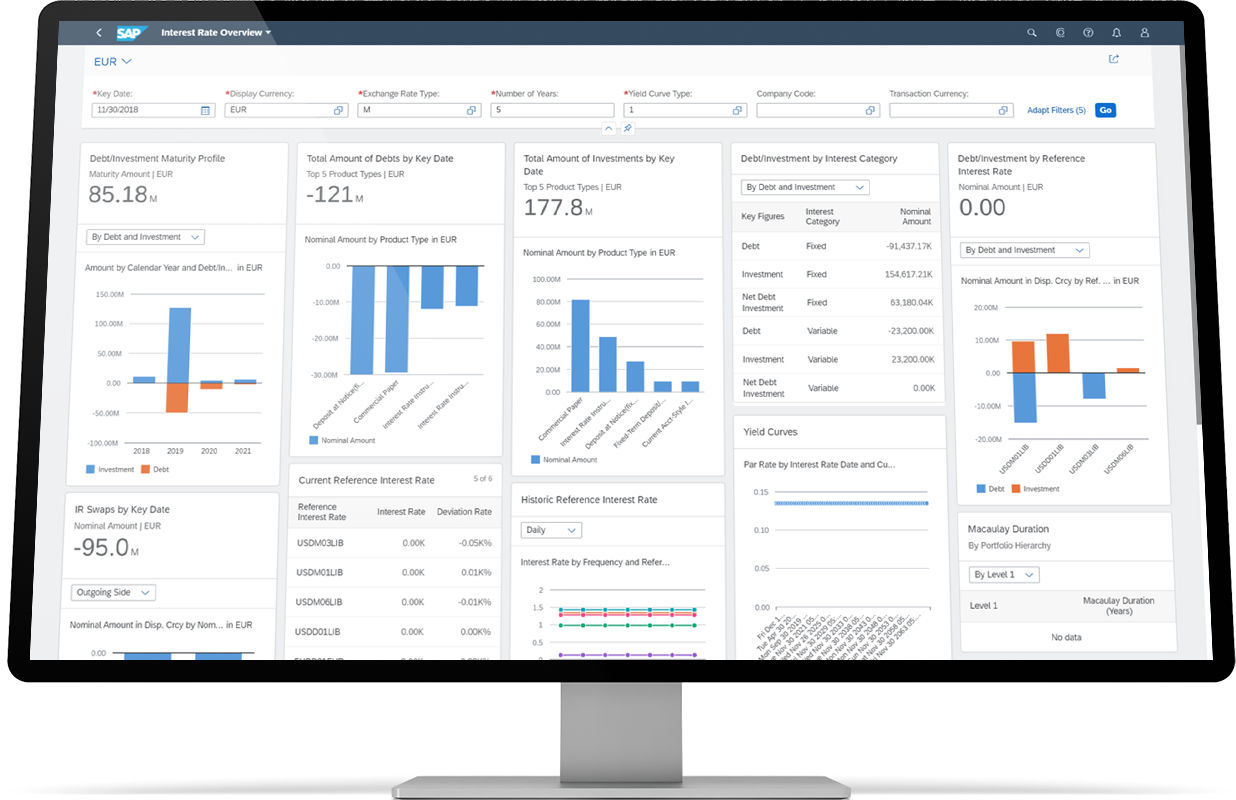 Software de gestión financiera - SAP - para informes / de mando / de ERP