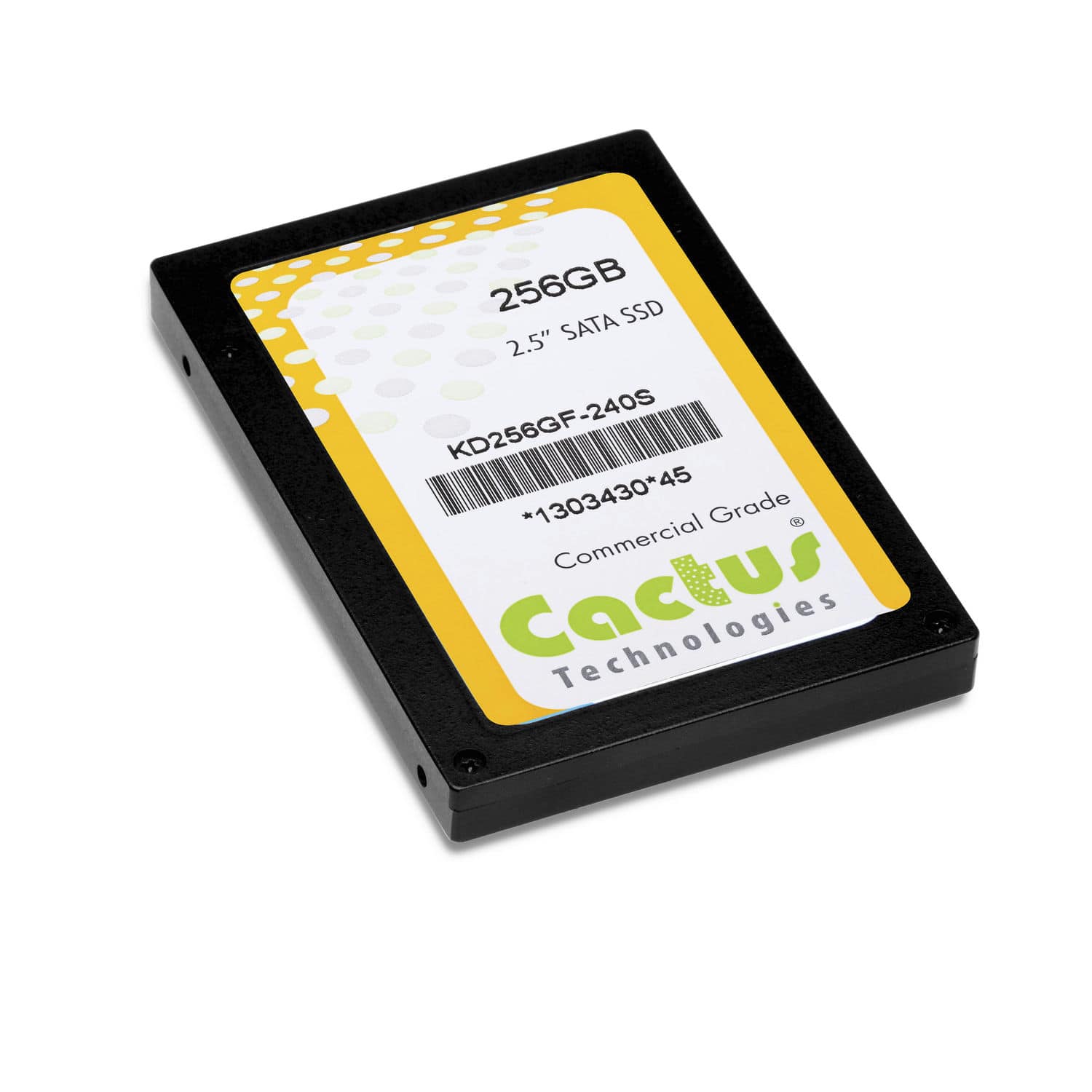 Disco duro SSD SATA - Cactus Technologies 240 Series - Syslogic GmbH ...