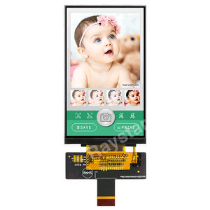 Módulo de visualización LCD - RFK1010F-AYH-LNG - Raystar Optronics, Inc. - TFT / IPS / LED