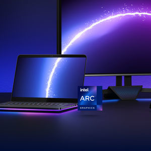 Tarjeta gráfica - Iris® Xe MAX - Intel