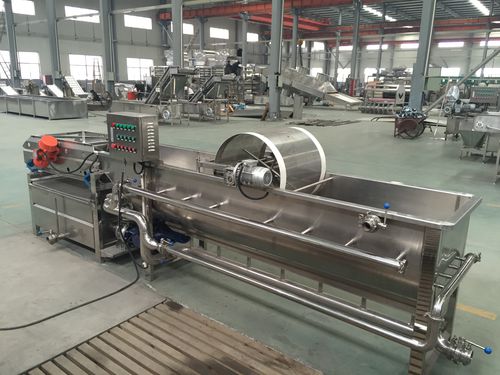 Lavadora de champiñones - WXJ - SHAOXING WALLEY FOOD MACHINERY CO., LTD ...